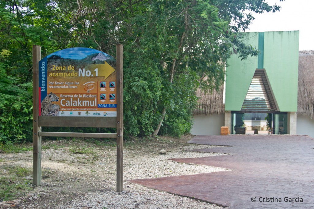 The Museum That Got Lost in the Jungle - Travel 4 Wildlife