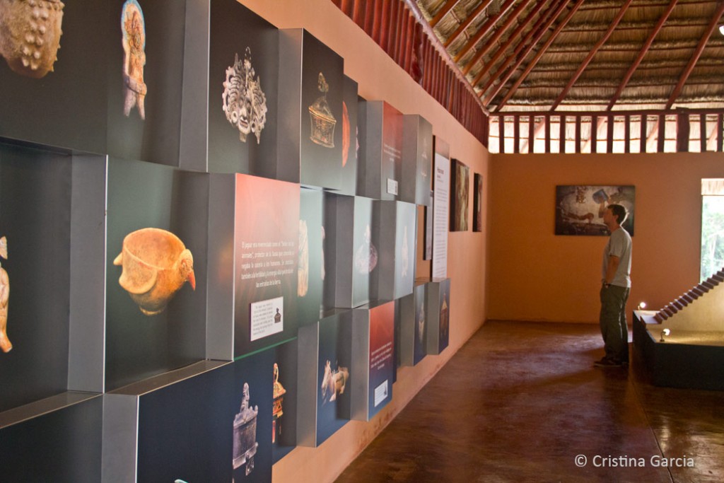 The Museum That Got Lost in the Jungle - Travel 4 Wildlife