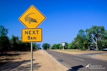 20 Animal Crossing Signs - A Photo Gallery byTravel For Wildlife