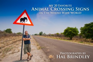 20 Animal Crossing Signs - A Photo Gallery byTravel For Wildlife