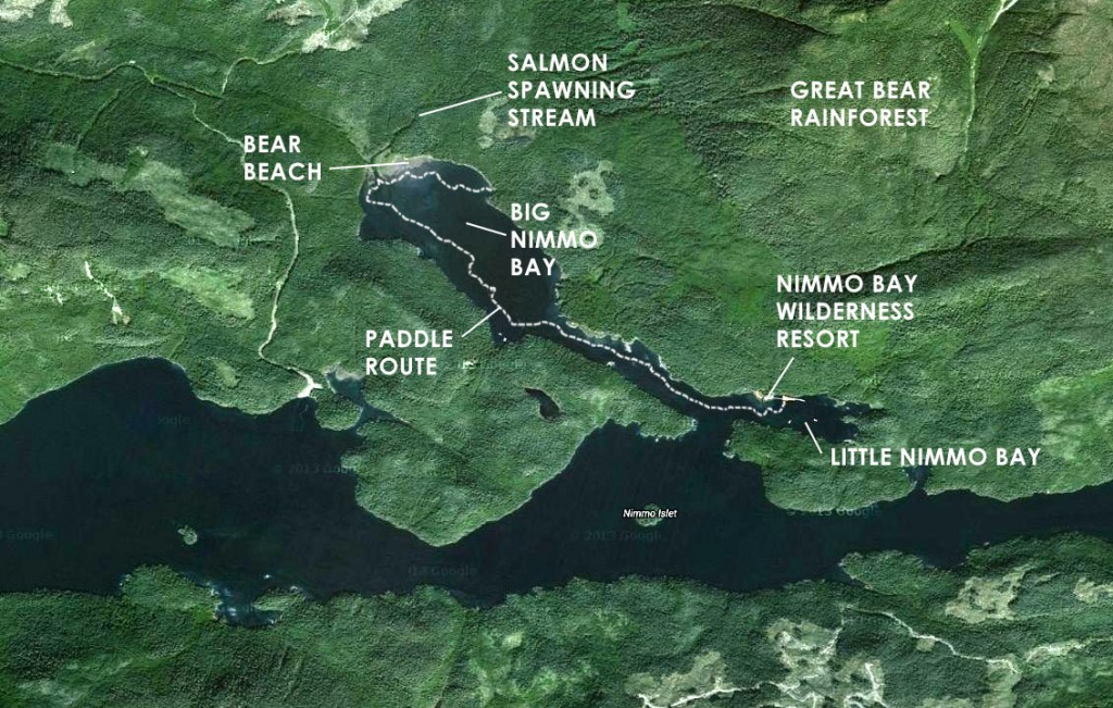 A Quest For Bears: Kayaking the Great Bear Rainforest