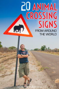 20 Animal Crossing Signs - A Photo Gallery byTravel For Wildlife
