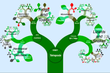 How Photography and Blogging Can Promote Wildlife Conservation (My ...
