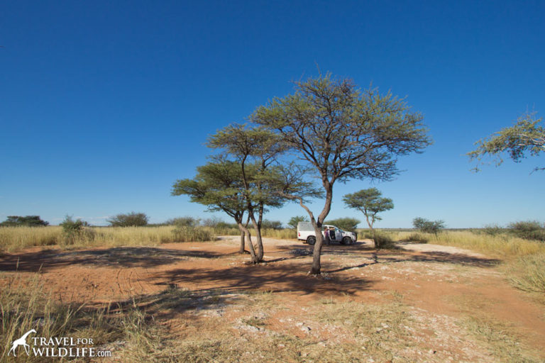 A Complete Guide to the Mabuasehube Campsites in Botswana | Travel For ...