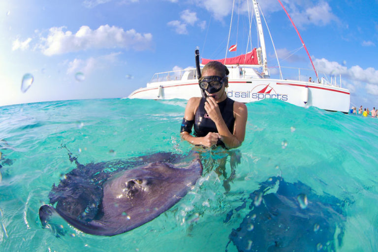 Swimming with Stingrays, Yay or Nay? | Travel For Wildlife