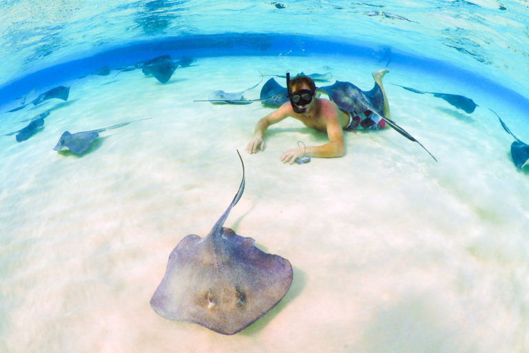 Swimming with Stingrays, Yay or Nay? | Travel For Wildlife