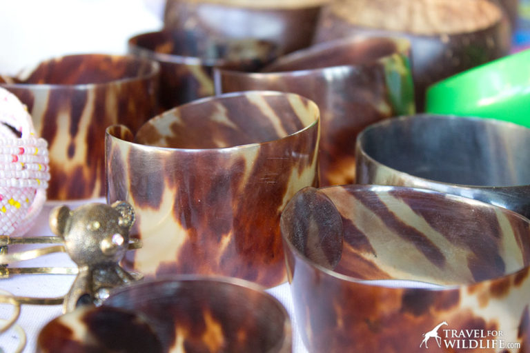 How to Identify and Avoid Sea Turtle Shell Souvenirs | Travel For Wildlife