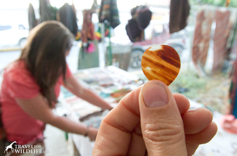 How to Identify and Avoid Sea Turtle Shell Souvenirs | Travel For Wildlife