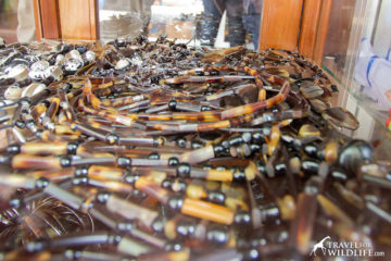 How to Identify and Avoid Sea Turtle Shell Souvenirs | Travel For Wildlife