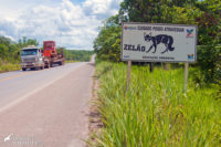 Animal Crossing Signs: 20 More of My Favorites in the Whole Wide World