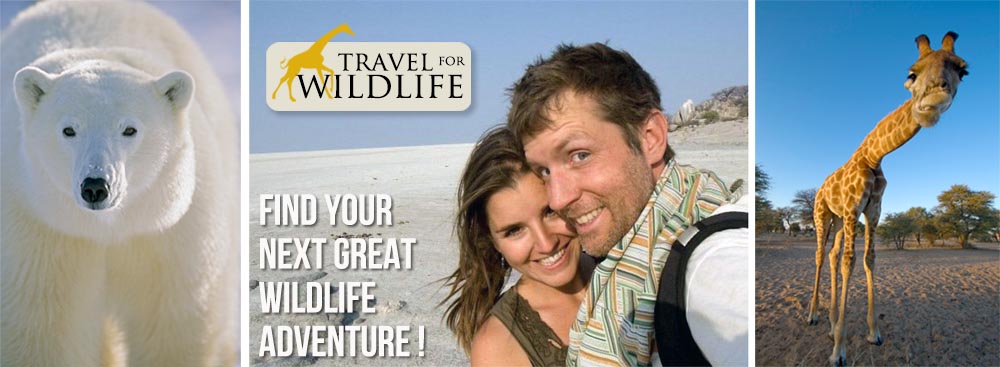 Travel For Wildlife - The guide to adventure wildlife travel