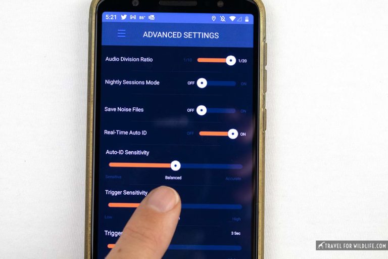 Turn Your Phone into a Bat Detector with the Echo Meter Touch 2 ...