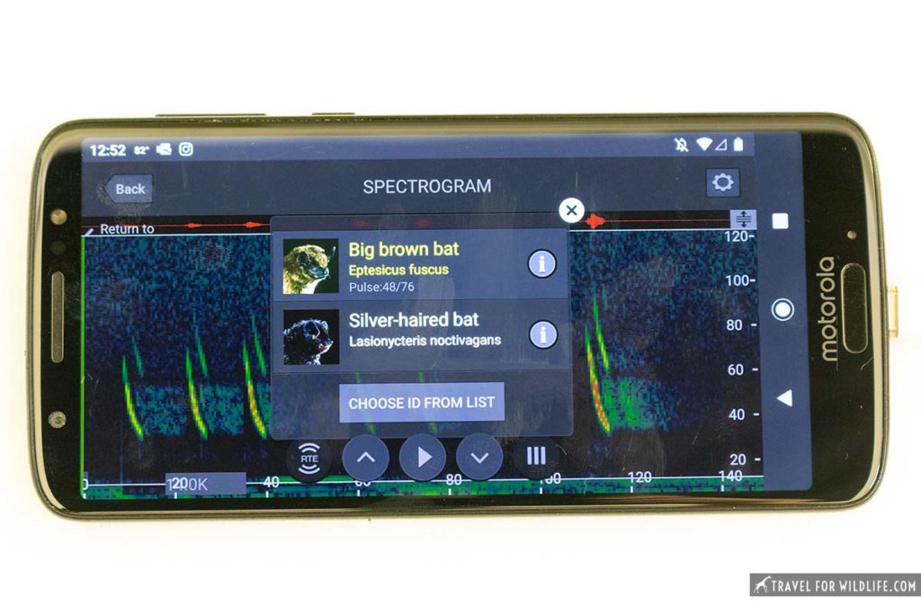 Turn Your Phone into a Bat Detector with the Echo Meter Touch 2 ...
