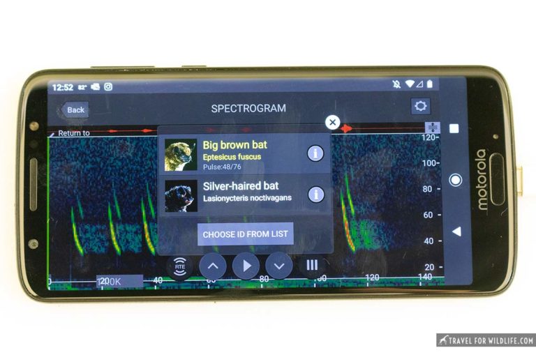 Turn Your Phone into a Bat Detector with the Echo Meter Touch 2 ...