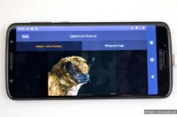 Turn Your Phone into a Bat Detector with the Echo Meter Touch 2 ...