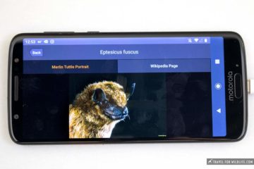 Turn Your Phone into a Bat Detector with the Echo Meter Touch 2 ...