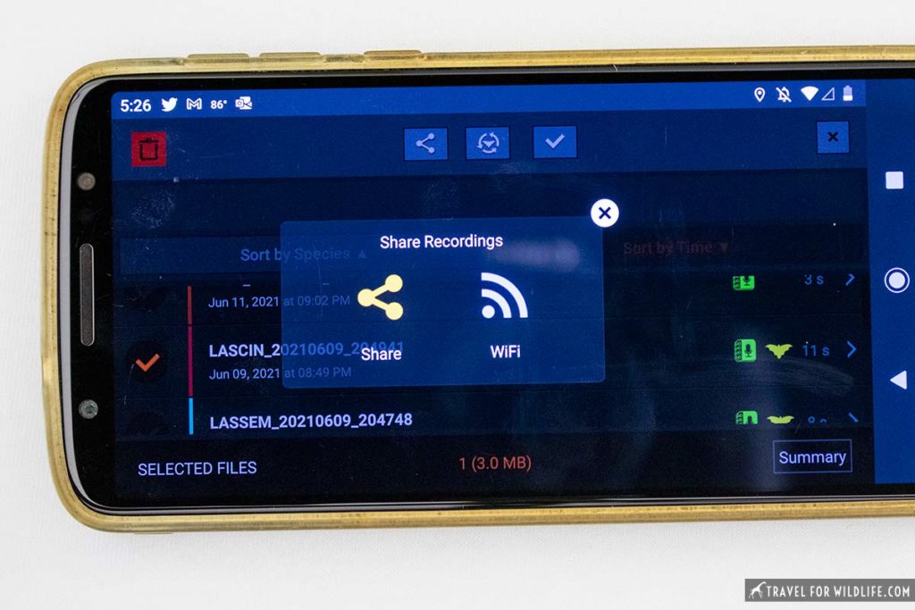 Turn Your Phone into a Bat Detector with the Echo Meter Touch 2 ...
