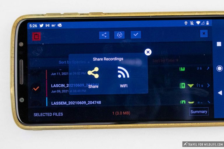 Turn Your Phone into a Bat Detector with the Echo Meter Touch 2 ...