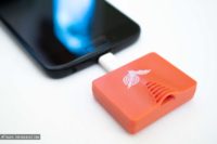 Turn Your Phone into a Bat Detector with the Echo Meter Touch 2 ...