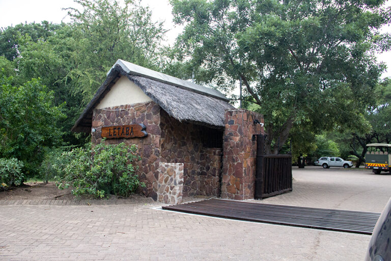 Letaba Rest Camp, Kruger National Park | Travel For Wildlife
