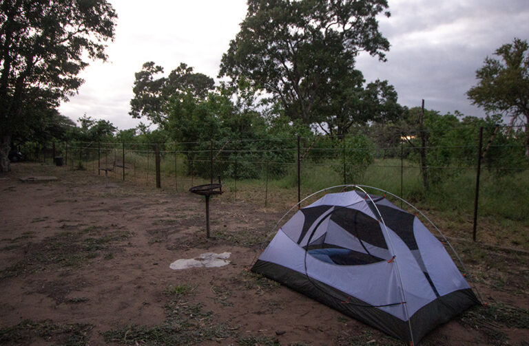 Letaba Rest Camp, Kruger National Park | Travel For Wildlife