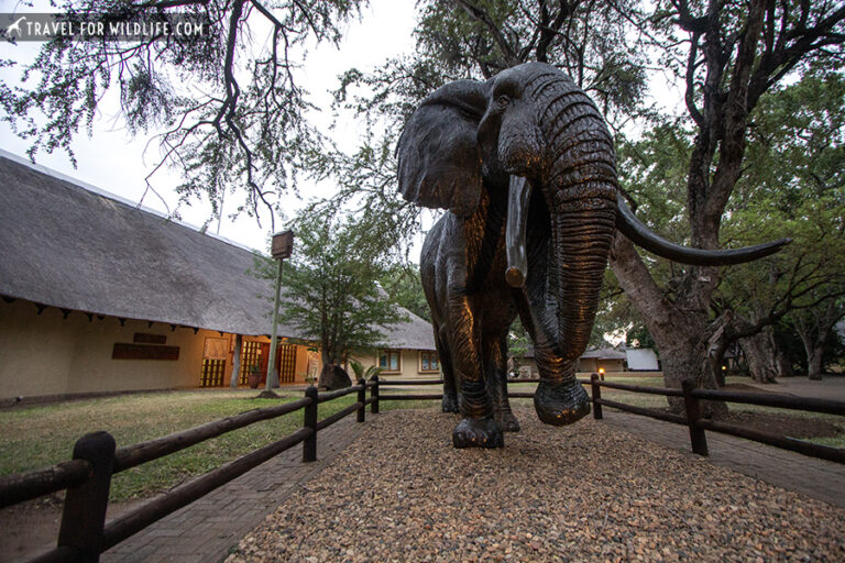 Letaba Rest Camp, Kruger National Park | Travel For Wildlife