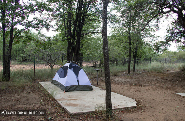 Punda Maria Rest Camp, Kruger National Park | Travel For Wildlife