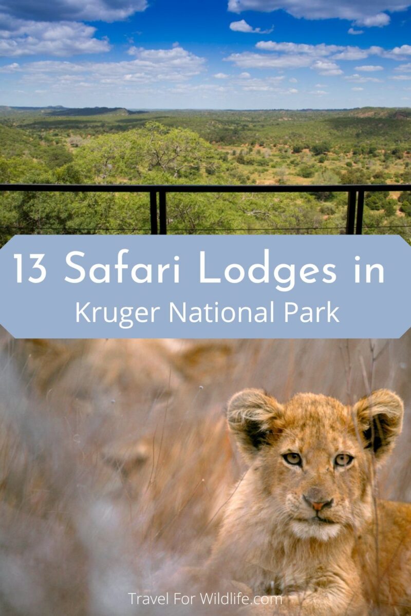 13 Safari lodges in Kruger National Park | Travel For Wildlife